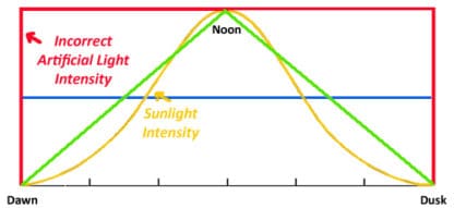 Light Level Recommendations › First Rays LLC